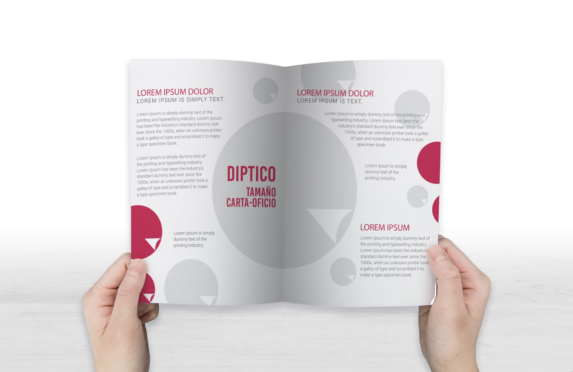 Dípticos – AYF Publicidad